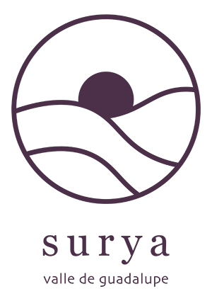 Barón Balché Valle de Guadalupe | Surya Valle de Guadalupe
